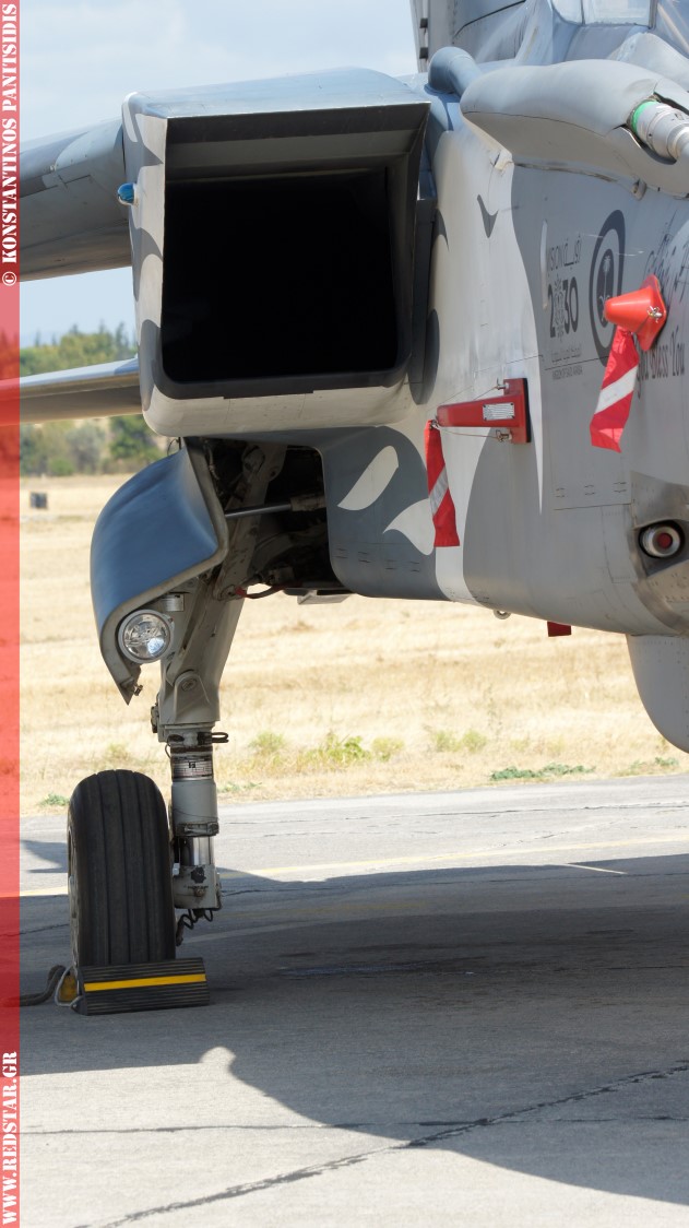 PA200 Tornado IDS, Interdictor-strike aircraft